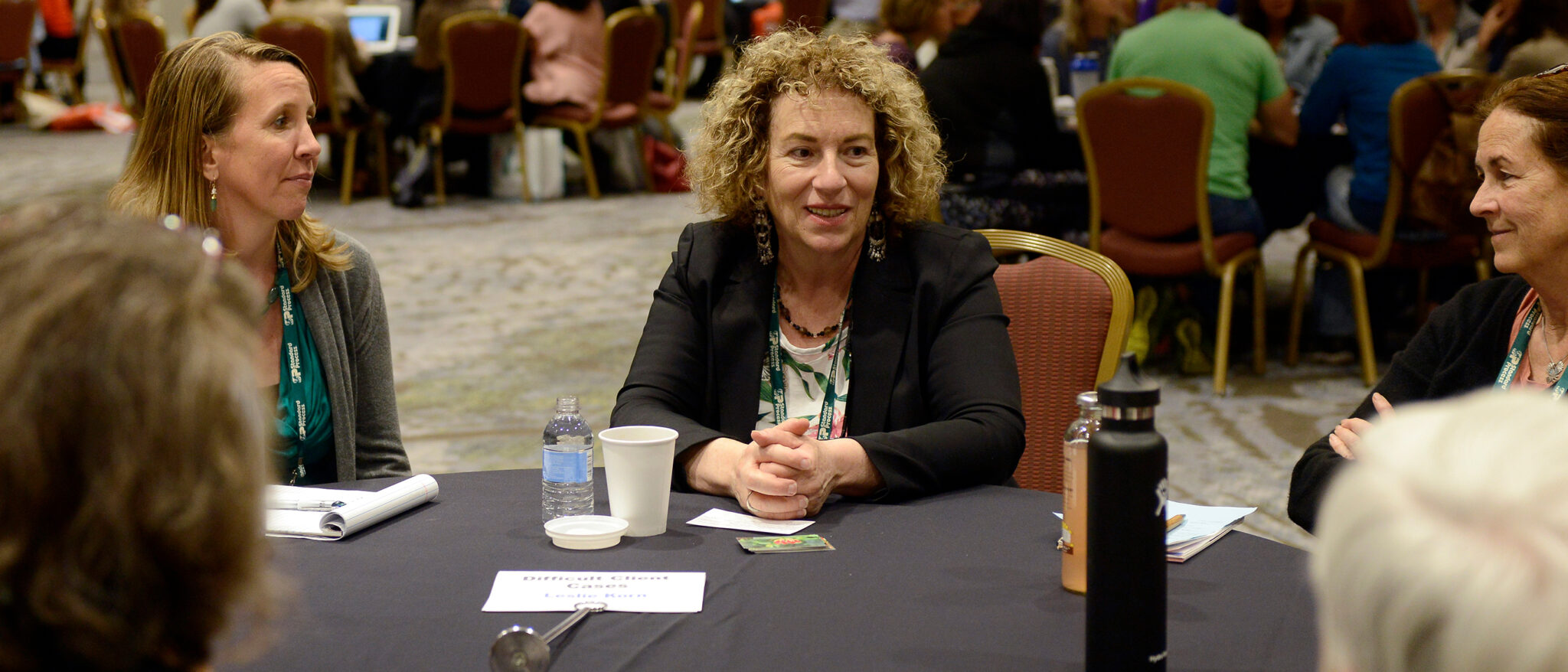 Advanced Coaching and Clinical Supervision with Dr. Leslie Korn