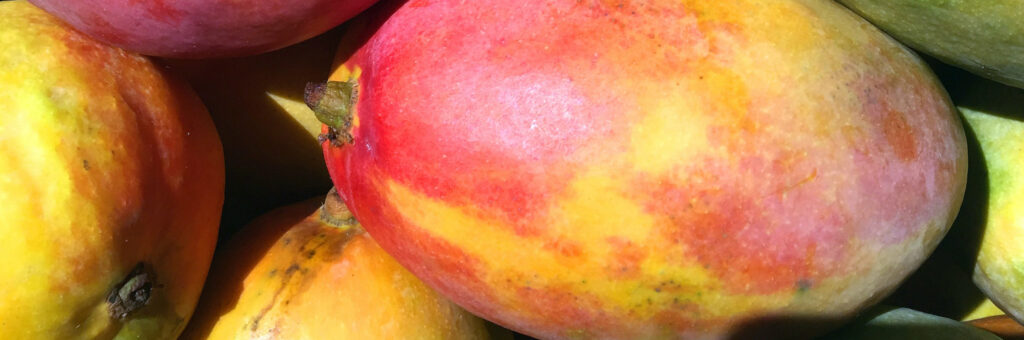 Discover Amchoor and Mangos: Enjoy Two Recipes that will Tickle your ...